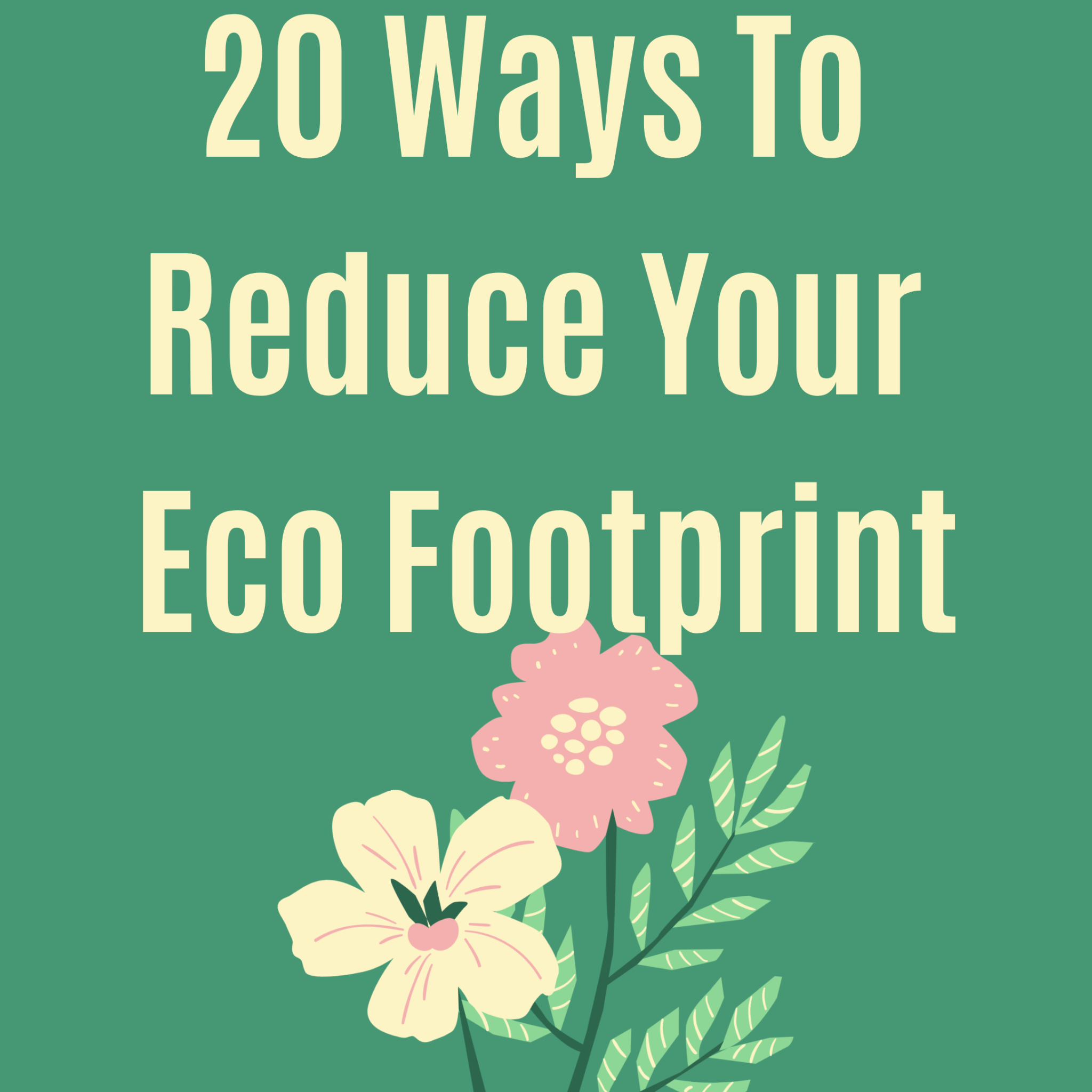 20 Ways to reduce your Ecological Footprint - Lauren Kimler